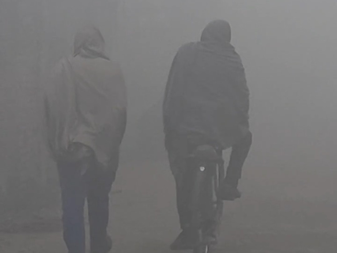 Muzaffarnagar recorded a low of 4 degrees Celsius. | मुजफ्फरनगर में ...