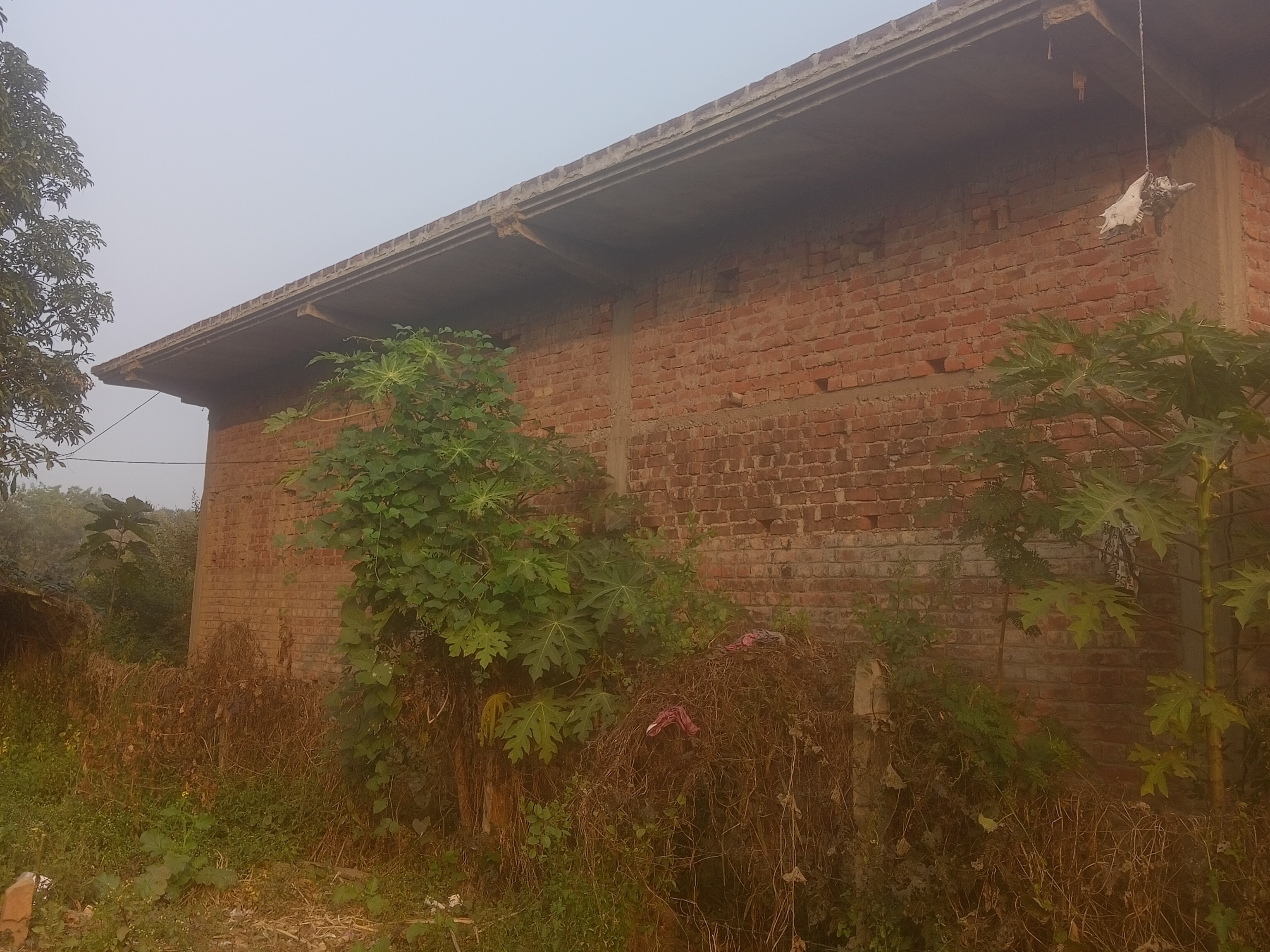 Illegal occupation of Chak Road in Leopard | तेंदुआ में चकरोड पर अवैध ...