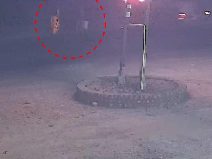 Car mows down woman in Rajgarh, video surfaces: Victim dragged for 200 metres, thrown 10 ft away ...