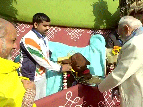 PM Modi: Tamil Culture Shared Heritage, Pongal Balances Nature & Family ...