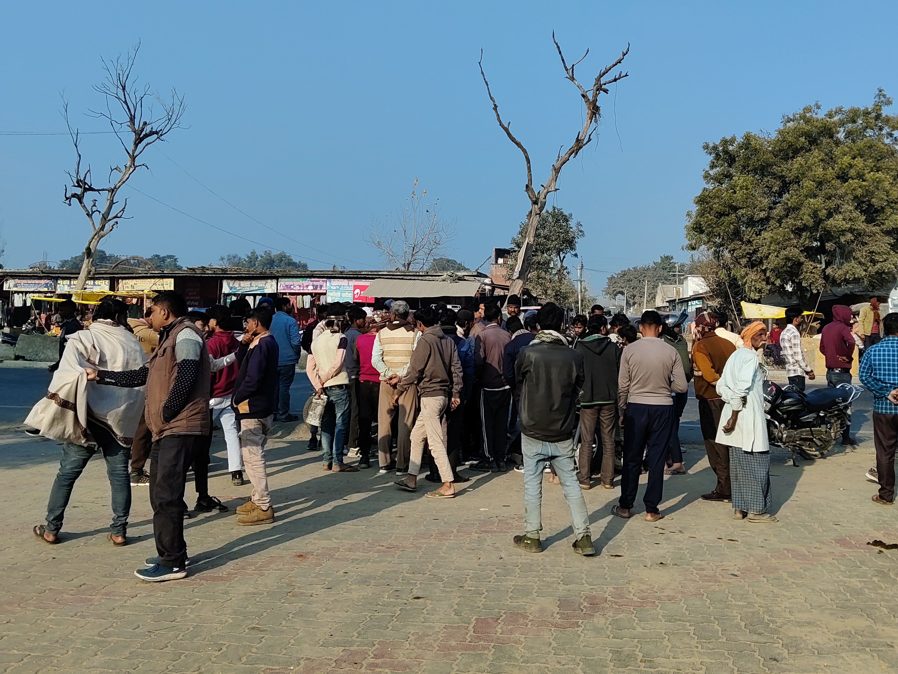 Shahjahanpur Jamuka: Stray Cattle Cause Road Accidents, Locals Demand ...
