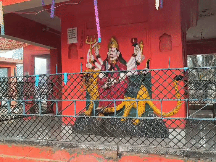 Bijnor Dog Parikrama Temple Idols | Veterinarians Term it Mental Issue