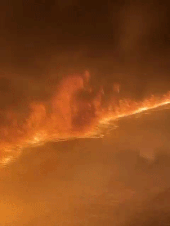 Raisen Bus Fire: Indore-Rewa Bus Gutted After Tyre Burst | Passengers ...