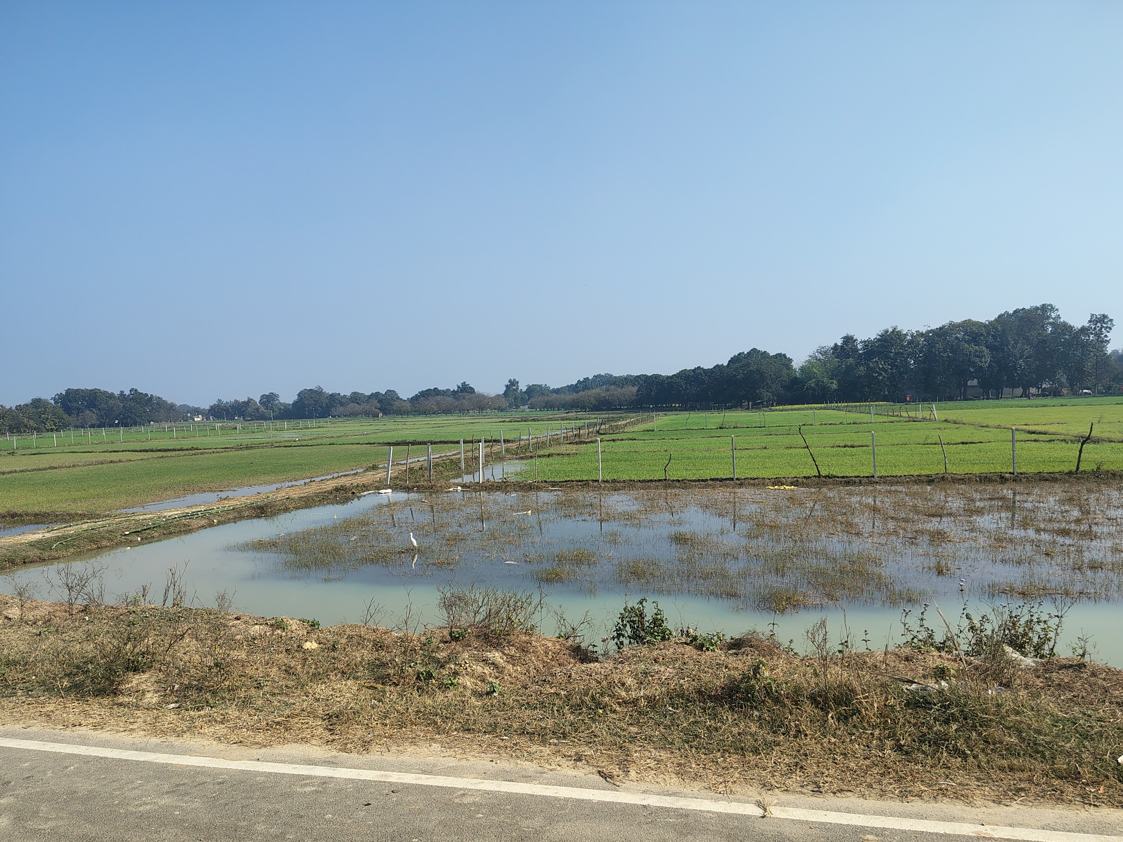 Pratapgarh Farmers Fields Flood, Crops Damaged After Canal Breach