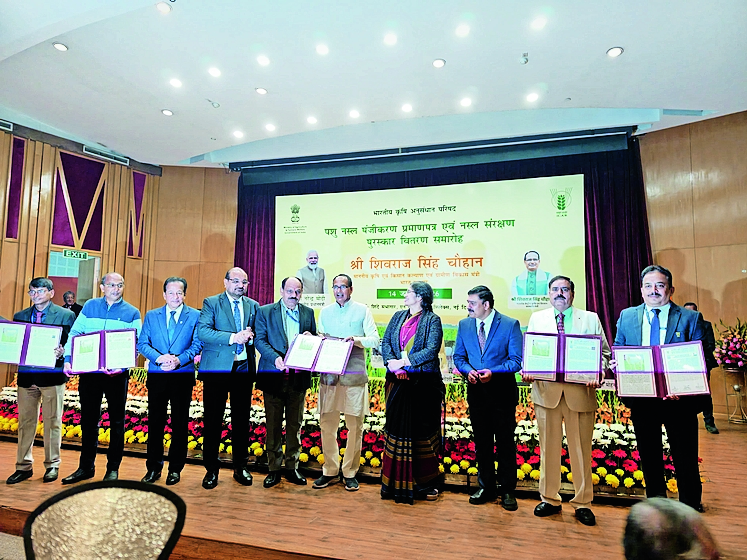 Avikanagar Institute's Avishan sheep gets ICAR registration