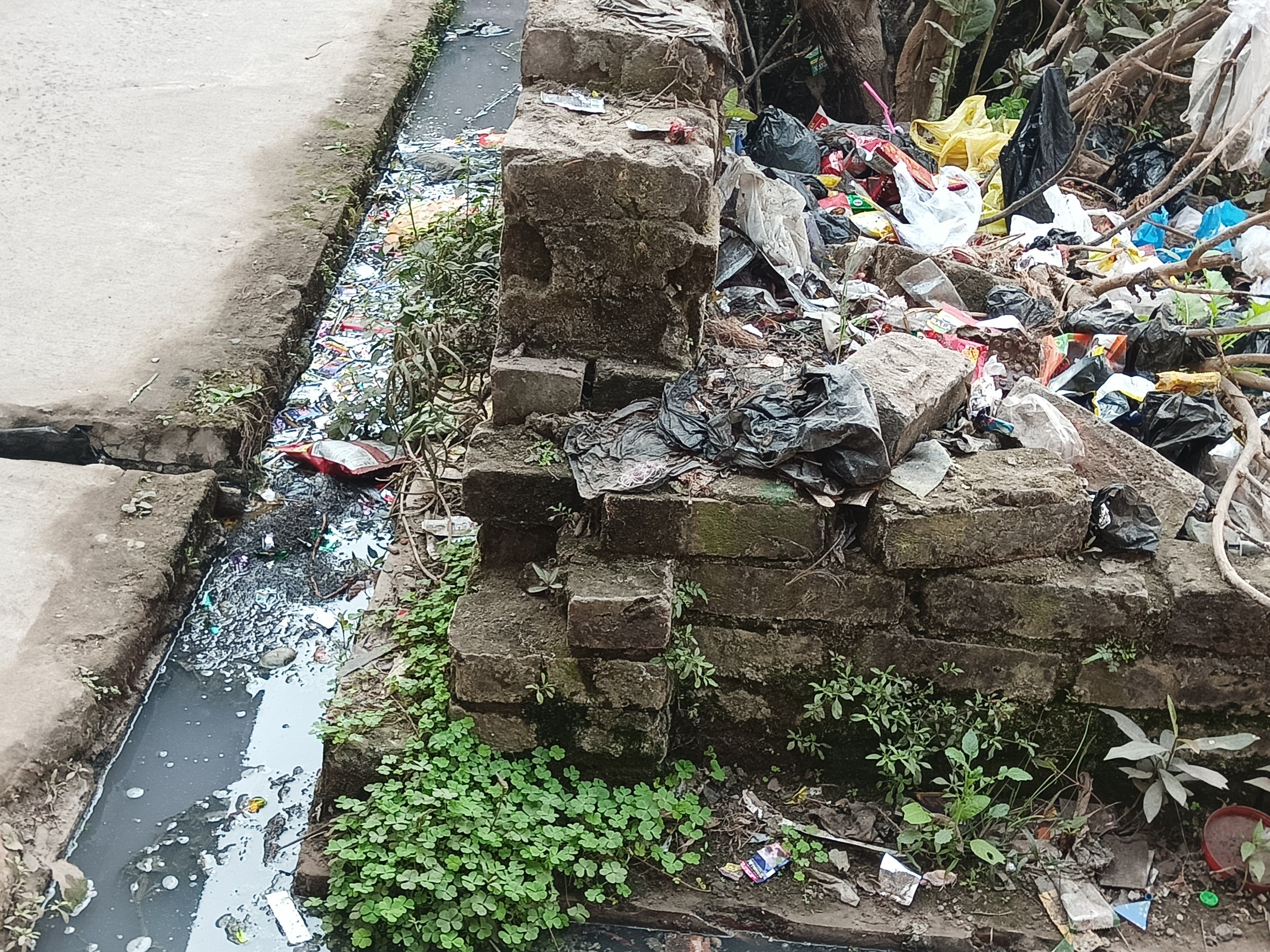 Bhatpar Rani Nagar Panchayat Silence Distresses Locals | Garbage ...