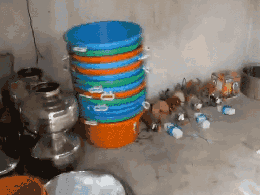 Indore Drug Factory Busted; Agar Malwa Nursery Guise | Rs 50 Crore MD ...