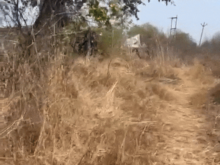 Indore Drug Factory Busted; Agar Malwa Nursery Guise | Rs 50 Crore MD ...