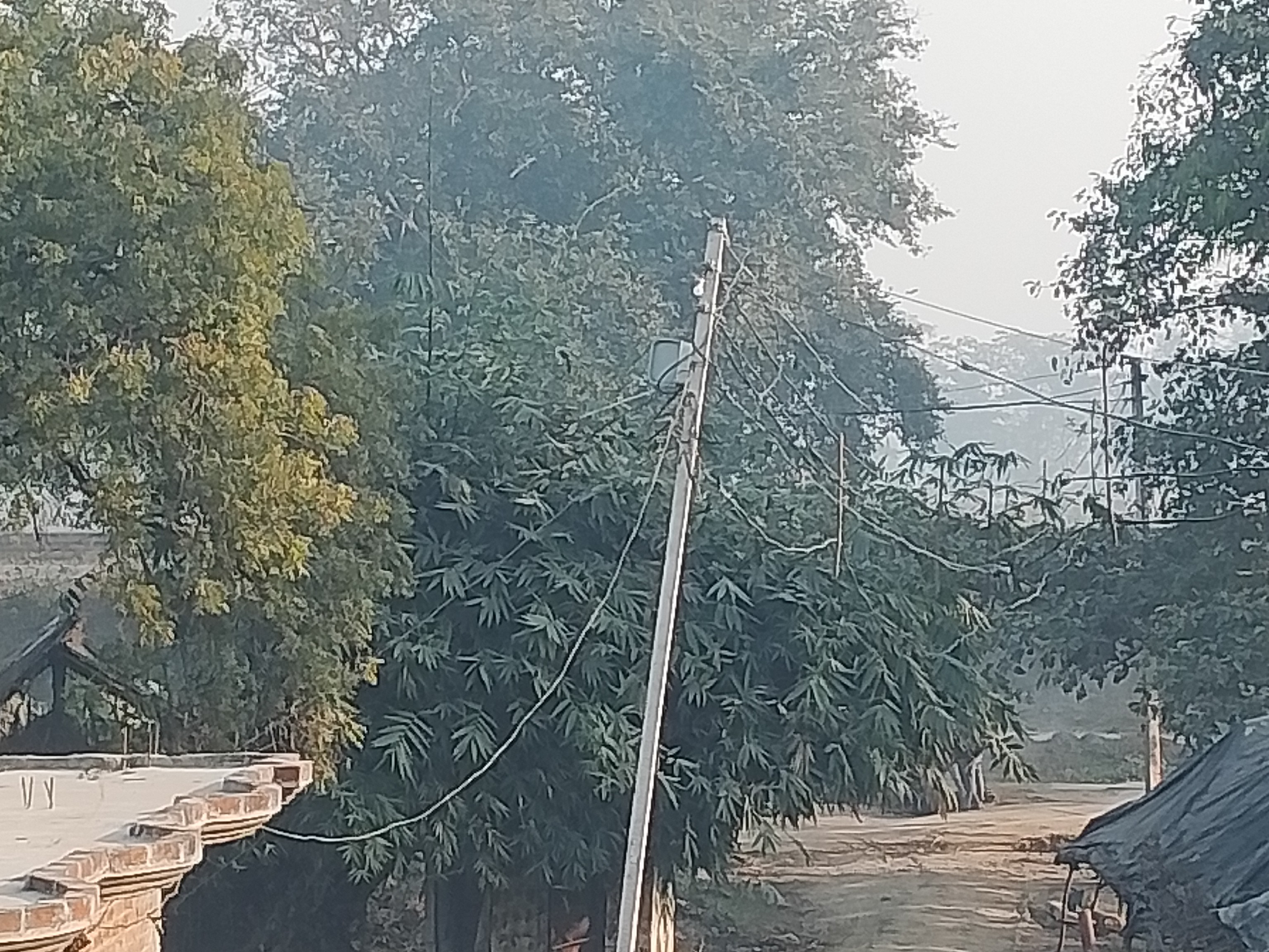 Gram Bhithmani Street Light Problem | Villagers Complain of Night ...