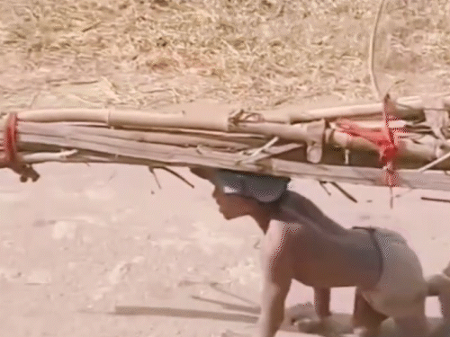 Singrauli Girl Crawls for Firewood | Poverty Forces Disabled Child to ...