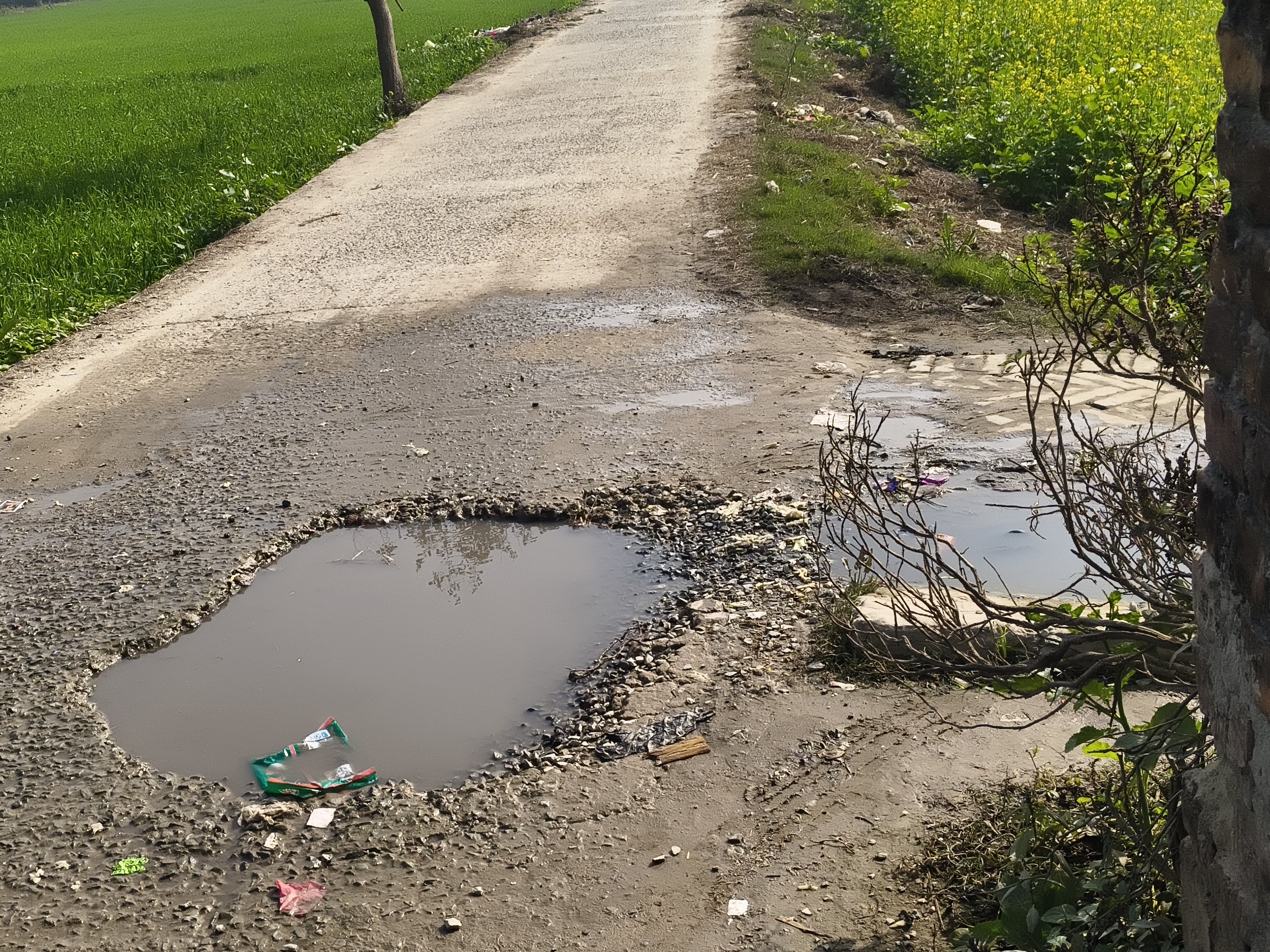 Badka Gaon Stench | Gutter Water Floods Road, Locals Suffer