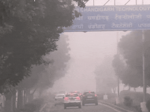 Rajasthan Rain Alert After 2 Days; Cold Wave Grips UP, Temp Below Shimla