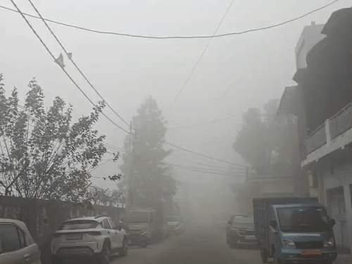 UP Fog & Cold Wave Disrupts Trains, Flights; Min Temp 4°C