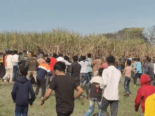 Leopard Escapes in Kushinagar; Injures 4 | Forest Staff Lose Grip