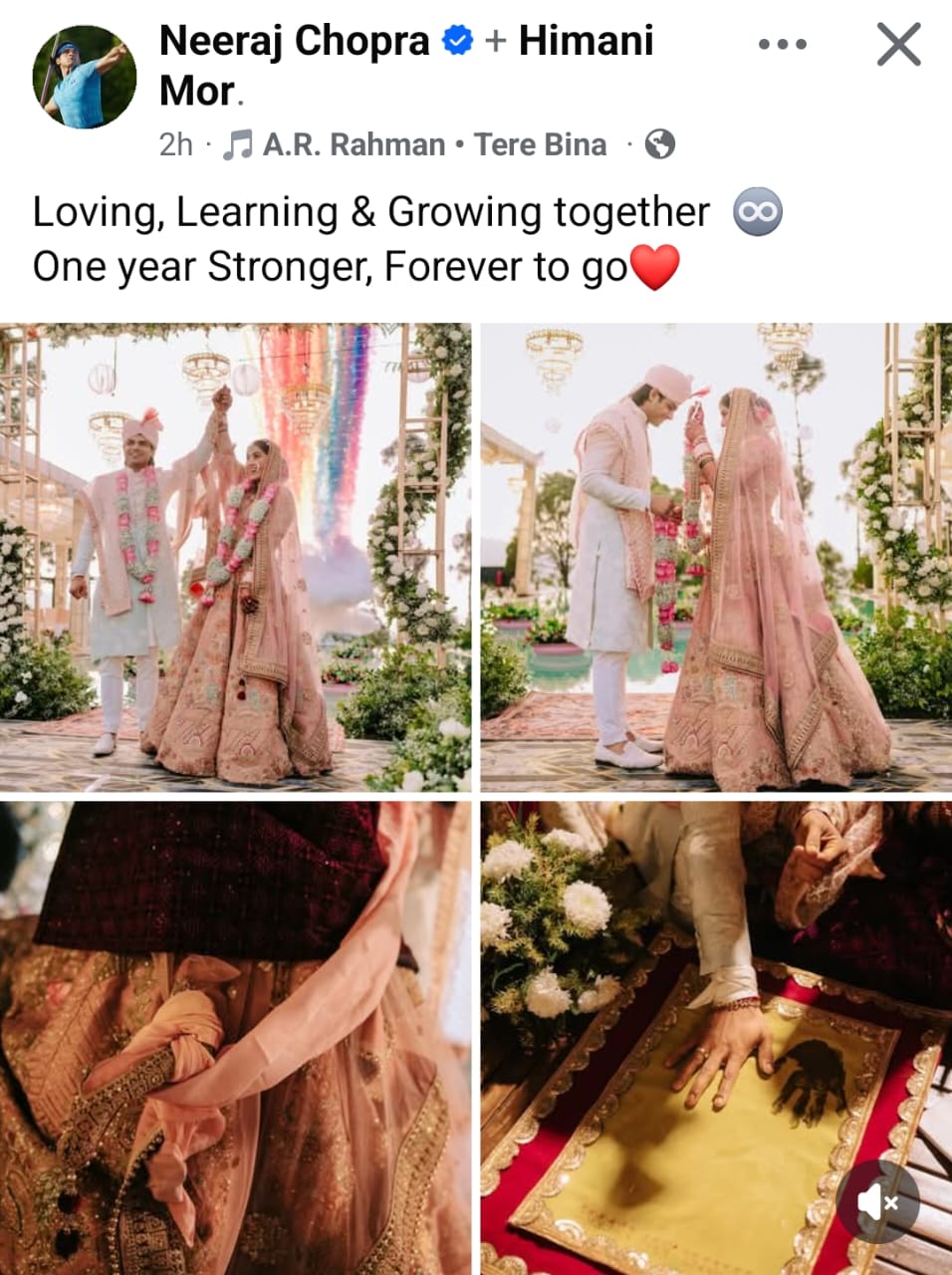 Neeraj Chopra Shares Anniversary Photos with Wife Himani Mor