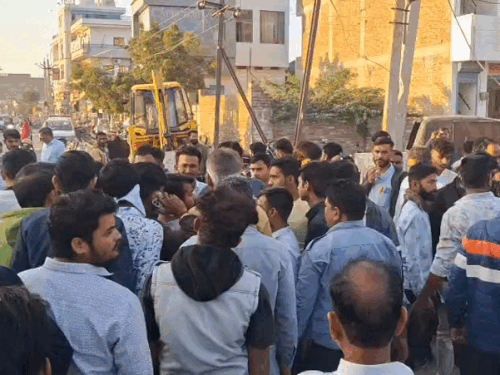 Jalore Calf Killed by Bus Driver; Mother Cow Grieves