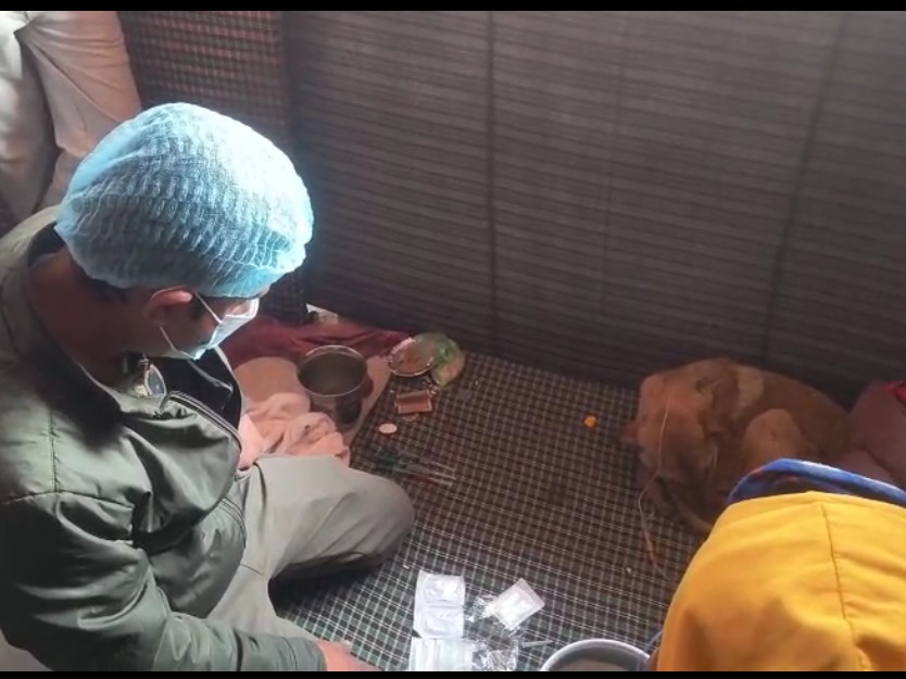 Bijnor Nagina Dog Temple Parikrama | People Believe Baba Form, Doctor ...