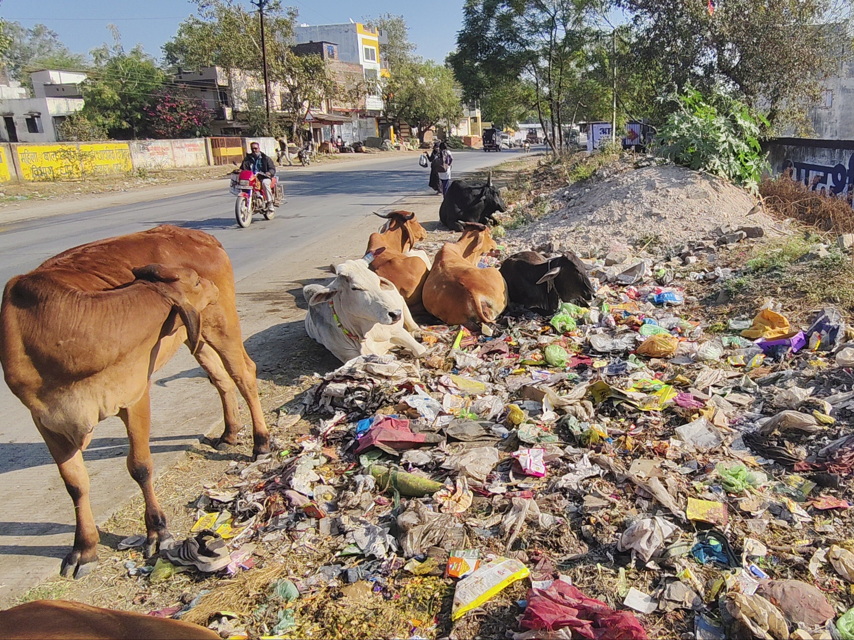 Dhar Indore Road Garbage Pile-up Affects School Children