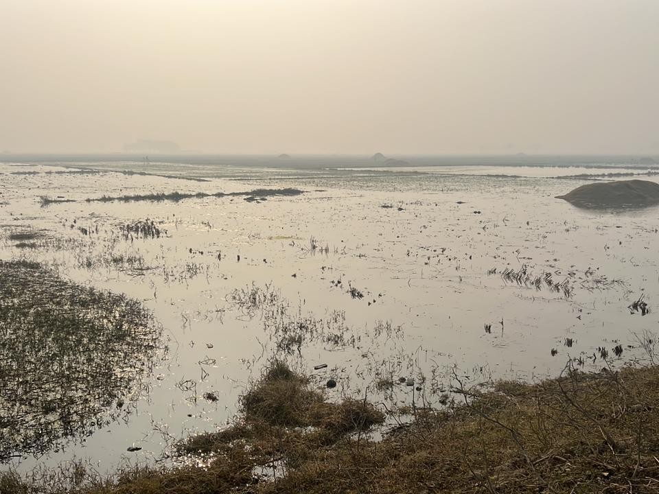 Sadalpur Embankment Breach Sparks Farmer Outrage | Crops Drown
