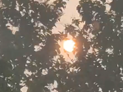 Jharkhand Temperature Rise 3-5 Degrees | Relief From Cold in February