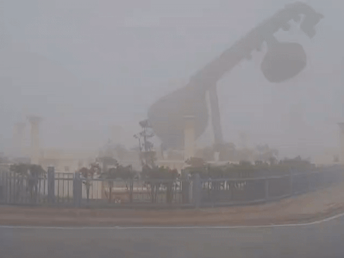 Ayodhya Cold & Fog: No Relief For Five Days