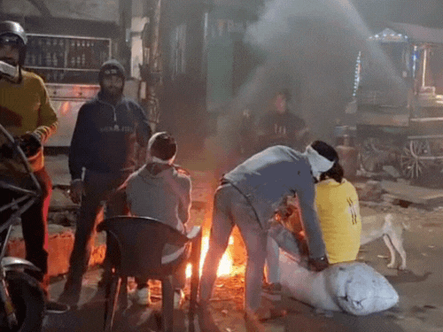 Agra Fog Alert | Cold Wave Grips City; Temp Dips to 6°C