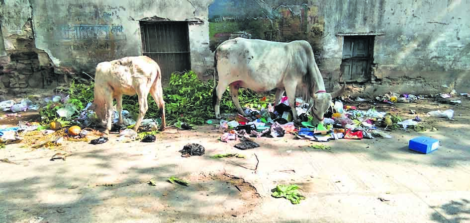 Heaps of garbage create problems in New Colony