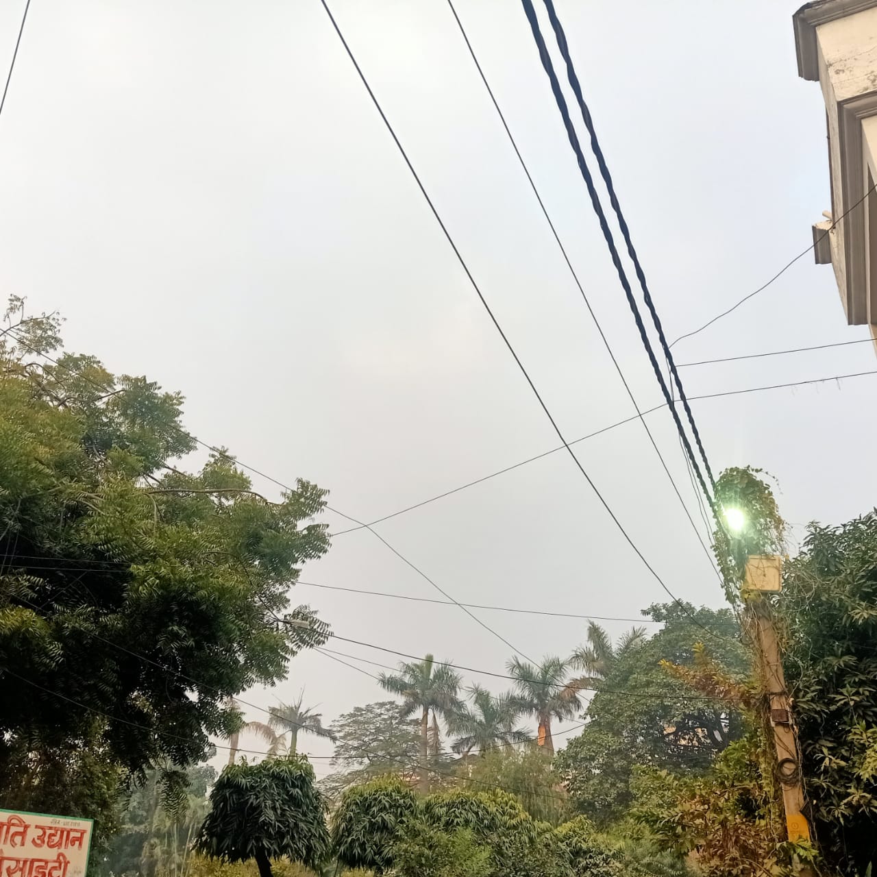 Lucknow Weather: Cold Eases, Daytime Clear Skies Expected