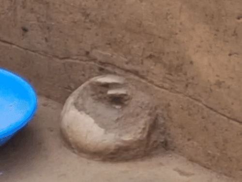 Dehradun Archaeology: Search for 4th Vedika | Third Century History Site