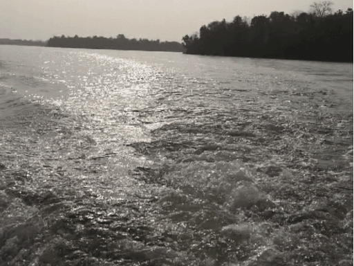 Nagpur Solar Project Controversy | Contractor Favored Corporation, CBI ...