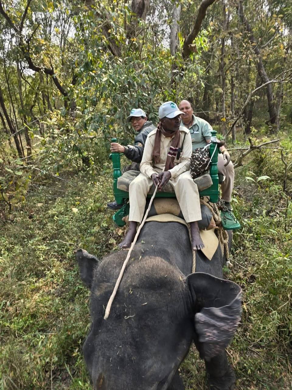 Satpura Tiger Reserve Operation Bison: Rescue Efforts Continue