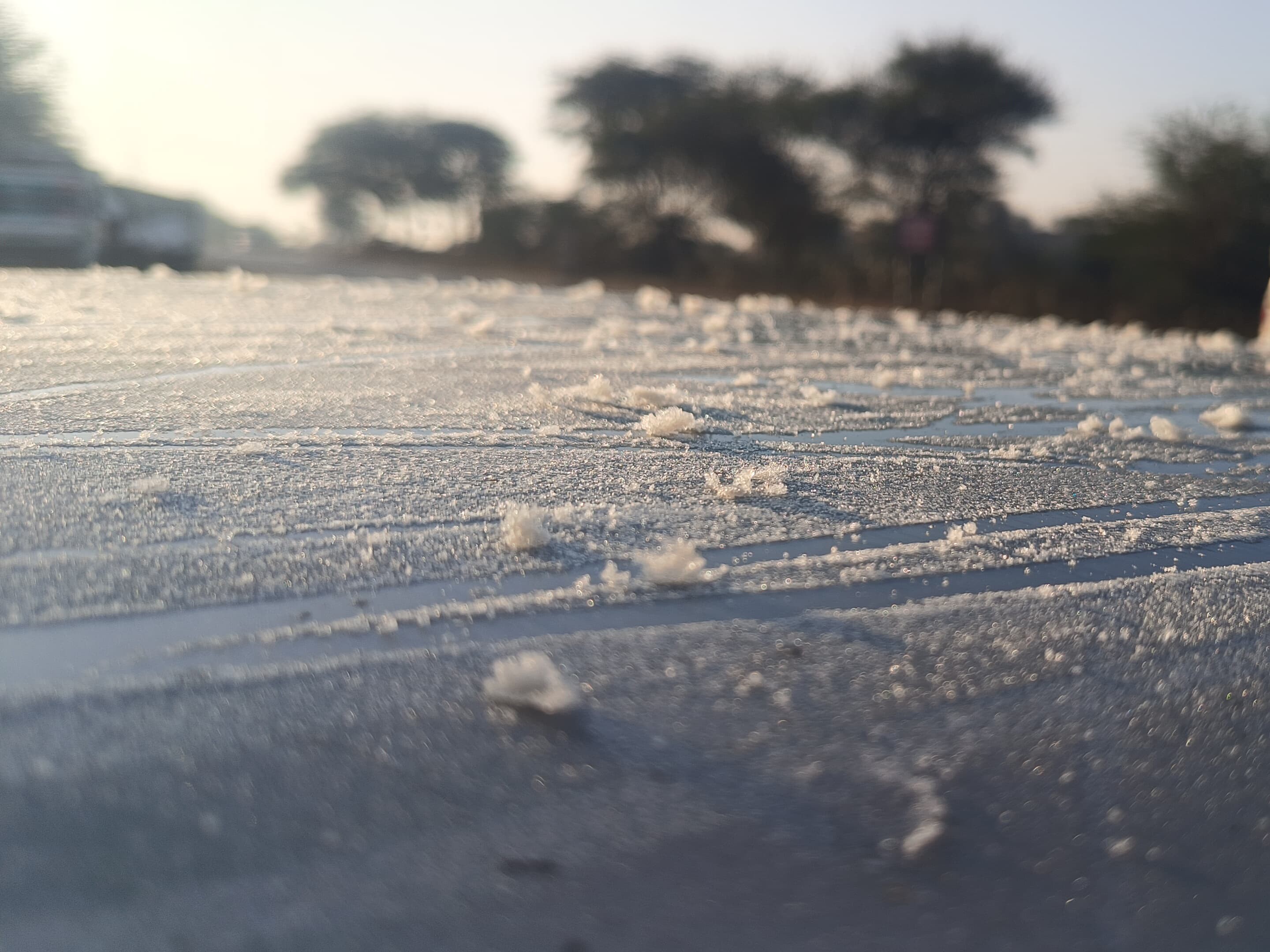 Laxmangarh Cold Wave Grips | Life Affected, Crops Frozen