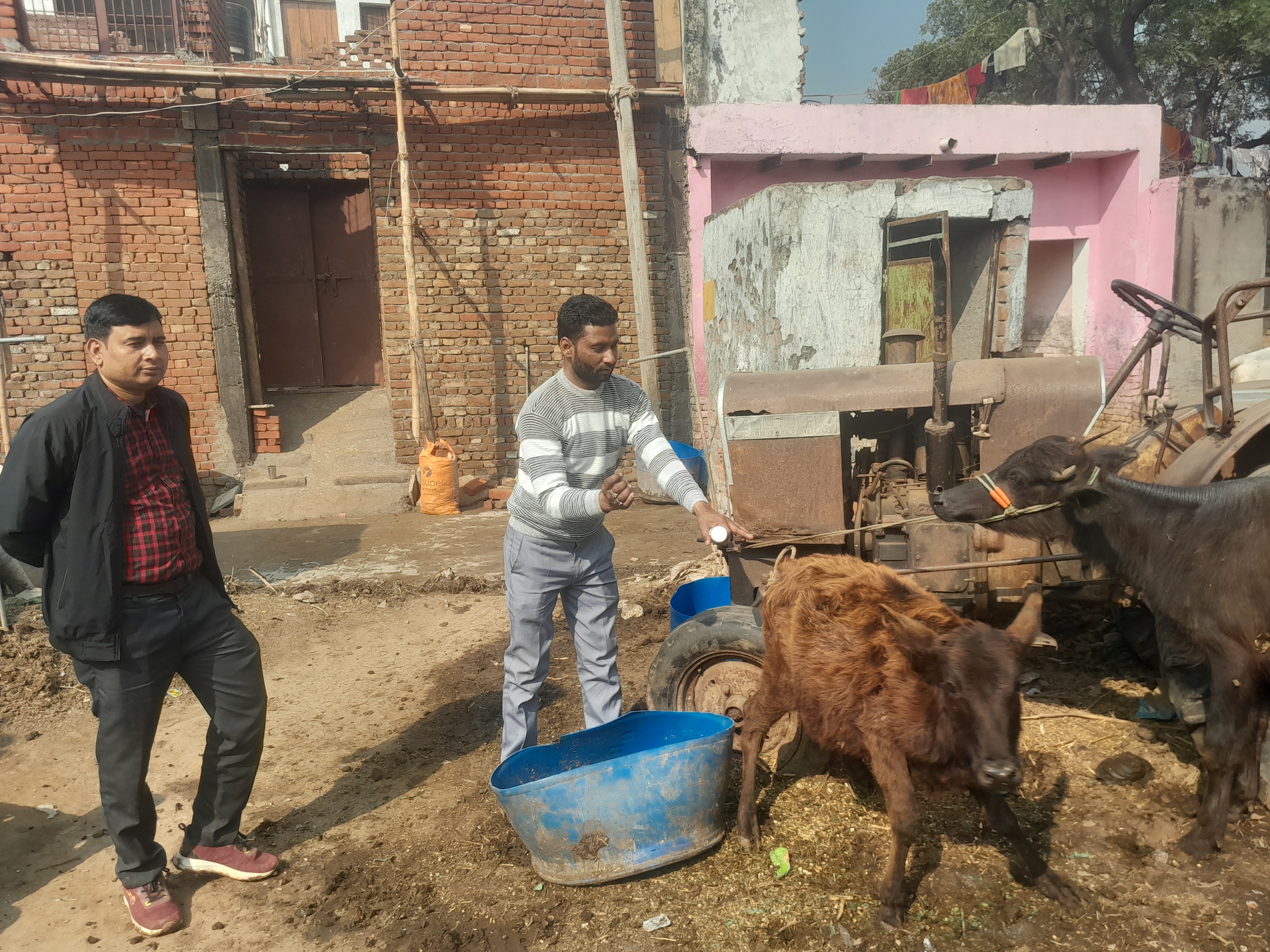 Manoharpur Kayasth Foot and Mouth Disease Prevention Vaccination