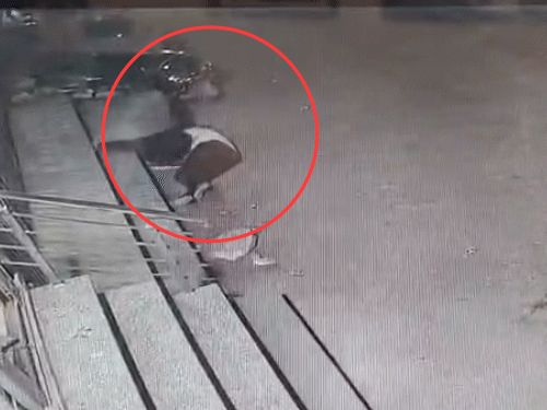 Nurse Falls From Balcony in Bikaner, Suffers 20 Fractures; Condition ...