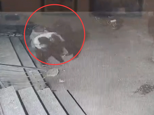 Nurse Falls From Balcony in Bikaner, Suffers 20 Fractures; Condition ...