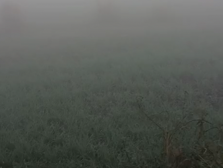 Bihar Fog: Bettiah, Bagaha Visibility Drops | Rain Alert