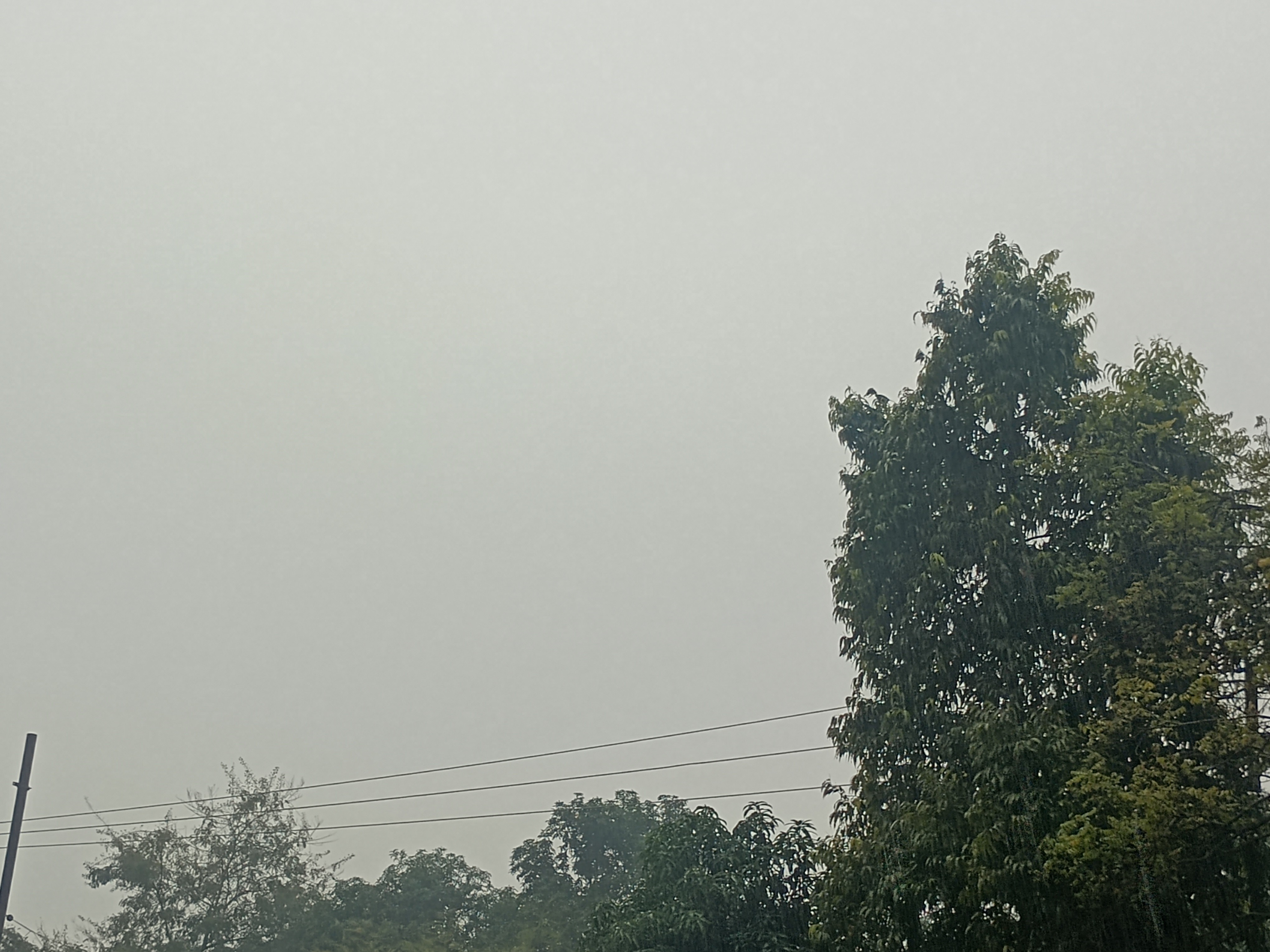 Nagina Weather Turns Cold After Days of Sunshine; Rain Increases