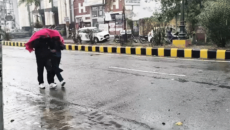 Yamunanagar Cold Wave Intensifies | Farmers Worry Amidst Hailstorm & Rain