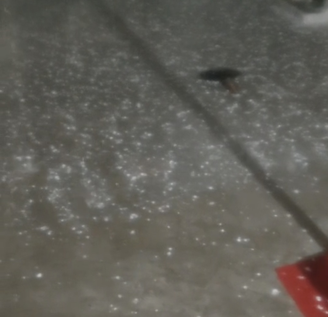Madhya Pradesh Hailstorm Destroys Mustard, Chana Crops in Kailaras ...
