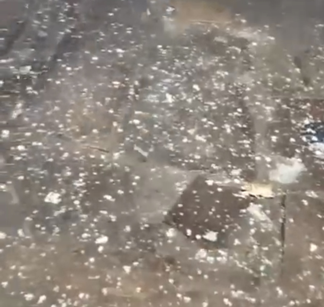 Madhya Pradesh Hailstorm Destroys Mustard, Chana Crops in Kailaras ...