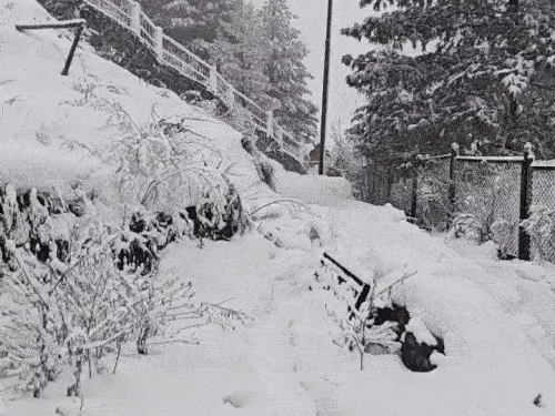 Uttarakhand Weather Update: Heavy Snowfall & Rain Lashes State; Schools ...