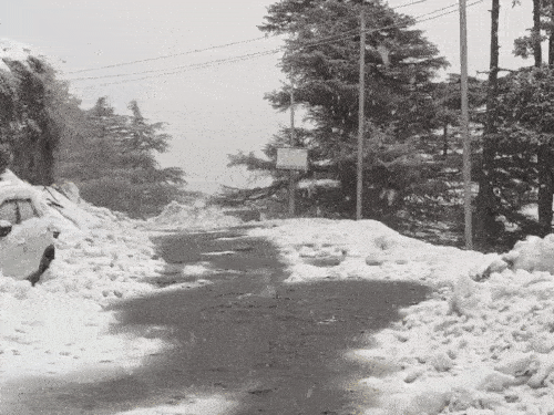 Uttarakhand Weather Update: Heavy Snowfall & Rain Lashes State; Schools ...