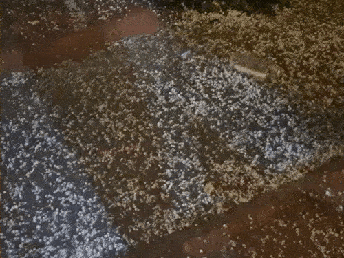 Uttarakhand Weather Update: Heavy Snowfall & Rain Lashes State; Schools ...