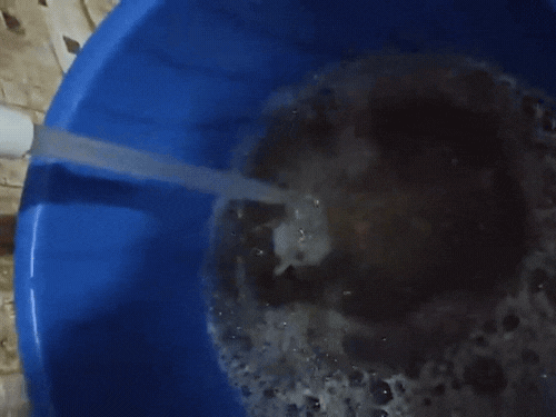 Agra Trans Yamuna Colony Sewer Water Supply | Residents Vomit