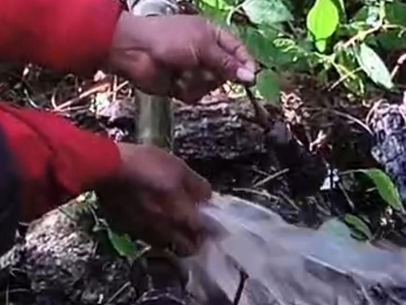 Almora Village Water Supply Restored After 4 Months; Villagers Clean ...