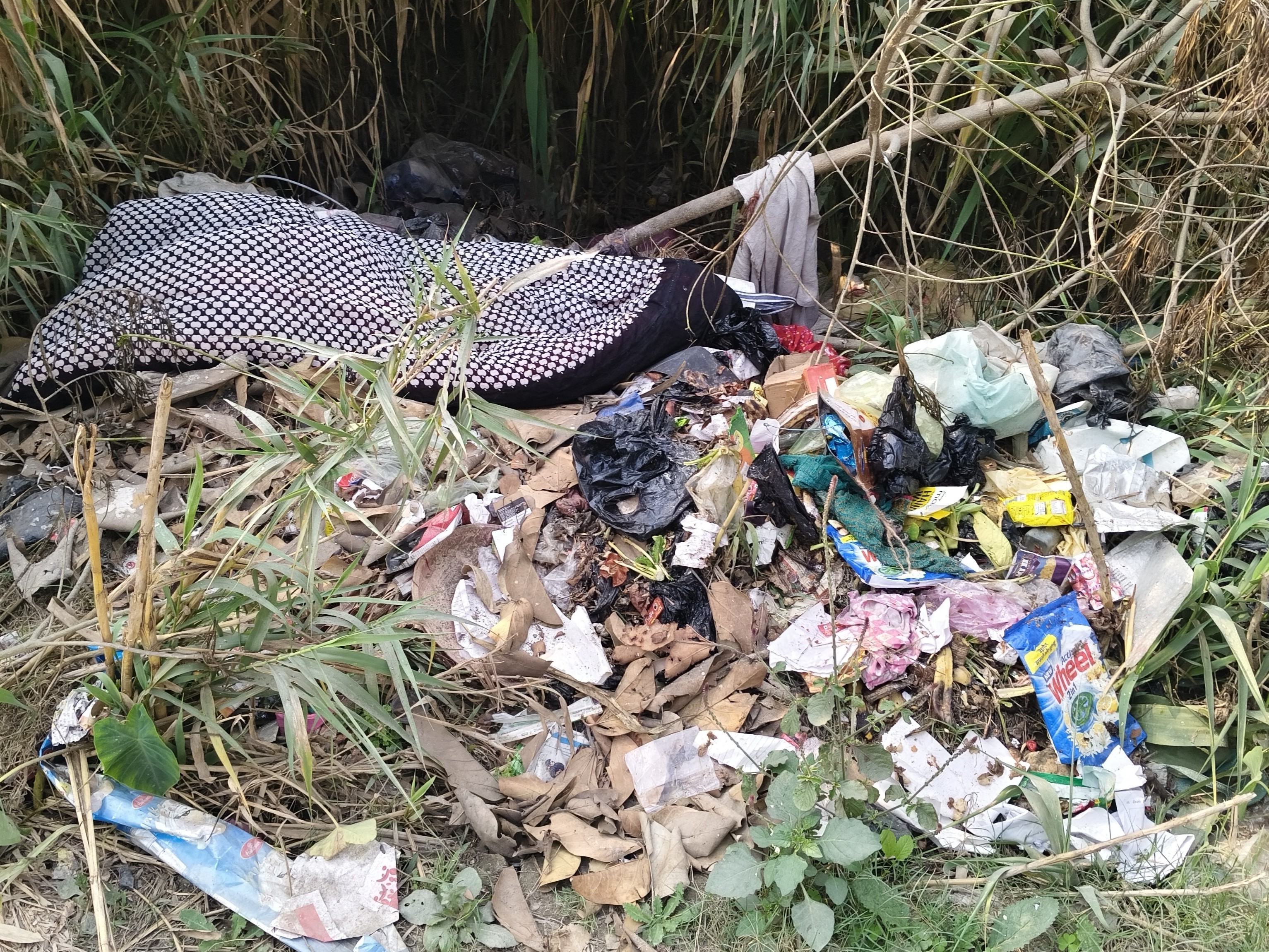 BDC Candidate Flags Disease Fears Over Garbage in Badka Gaon