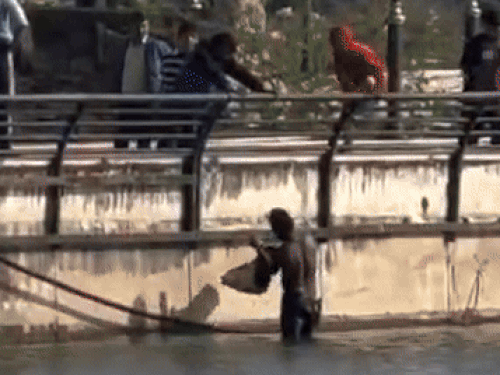 Ajmer Lake Bird Poaching Video Sparks Forest Dept Surveillance