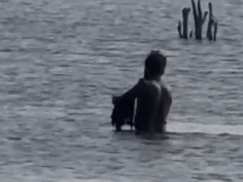 Ajmer Lake Bird Poaching Video Sparks Forest Dept Surveillance