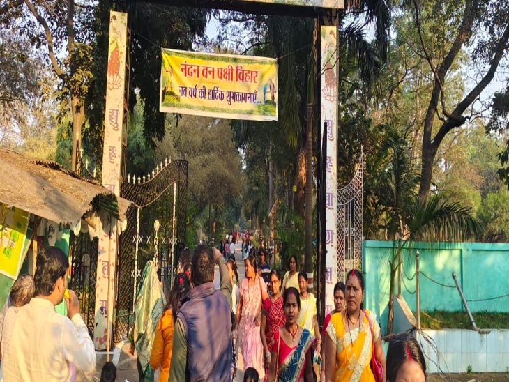 Raipur Nandanvan Boating & Zipline Launch; New Birds Coming!