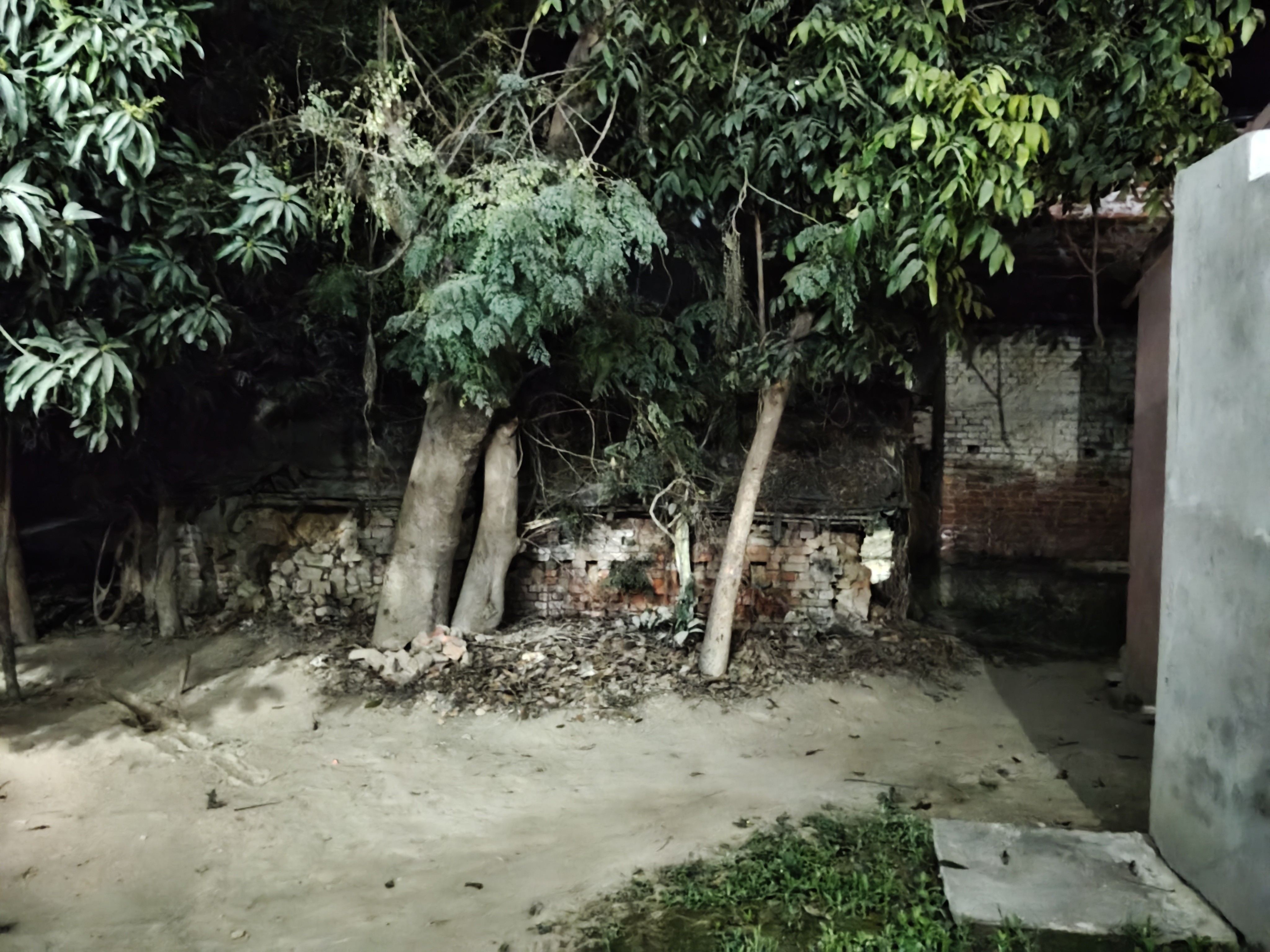 Thoka Bansi: Brother Sets House Ablaze After Scolding | Family Dispute